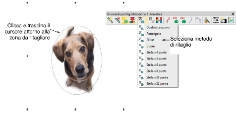 Ritaglia immagini bitmap