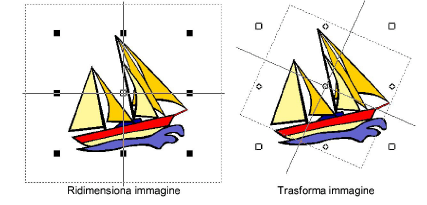 Ridimensiona e trasforma immagini bitmap