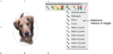 Ritaglia immagini bitmap